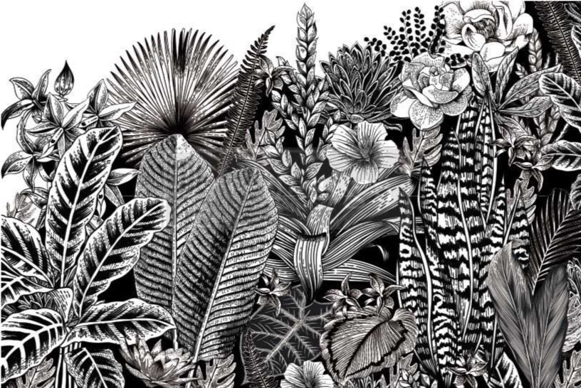 Large Transfers – Business Development Team